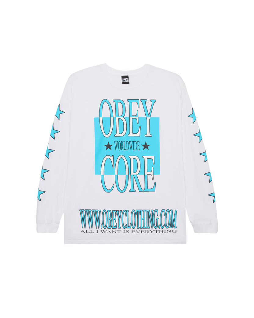 OBEY CORE LS VINTAGE T-SHIRT - WHITE – OBEY CLOTHING JP